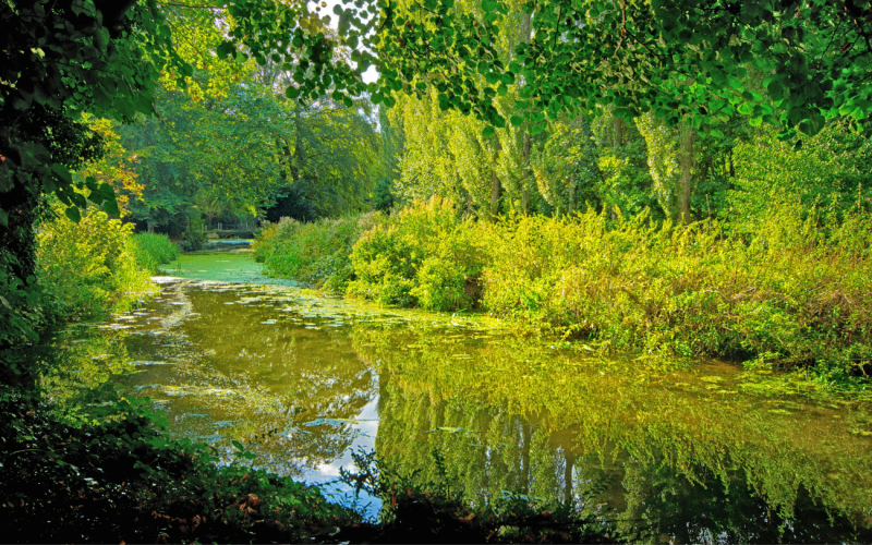 Helen Key Counselling in Calne, Wiltshire | Counsellor near Chippenham